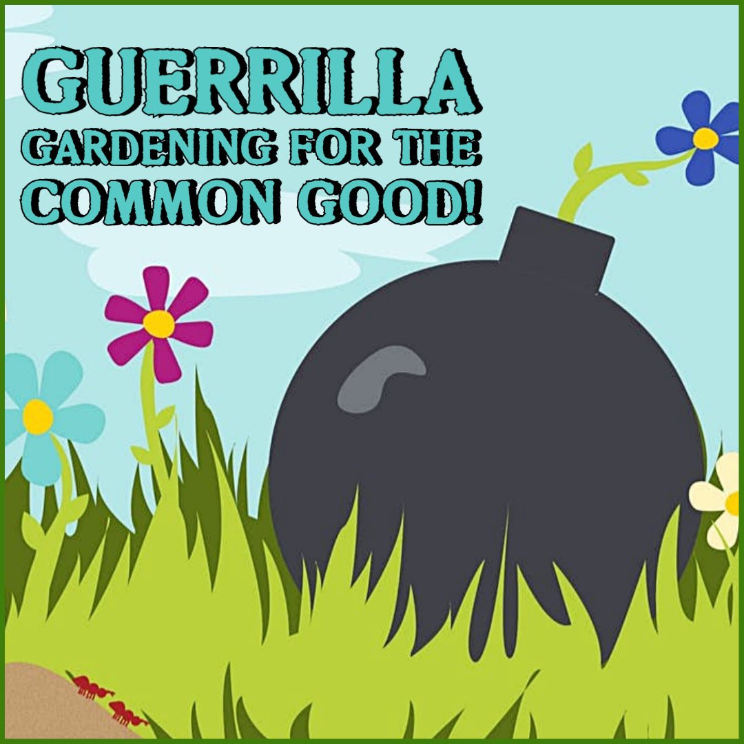 🌱 GUERRILLA GARDENING- GROWING FOR THE COMMON GOOD! 🌱 – INSPIREART&CULTURE